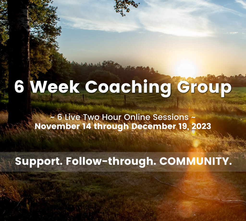 Weekly Live Support Group - Nov 2023 - Drummer and the Great Mountain